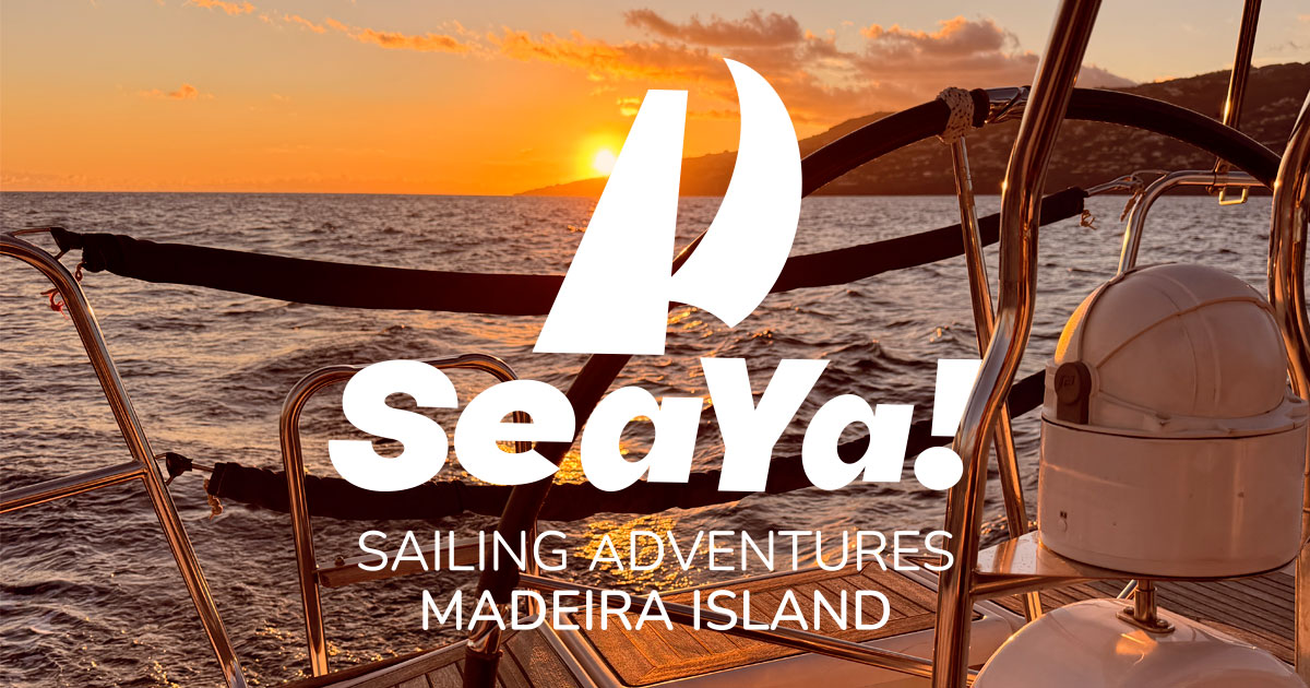 SeaYa! Madeira - Private Sailing Tours & Boat Charters in Madeira